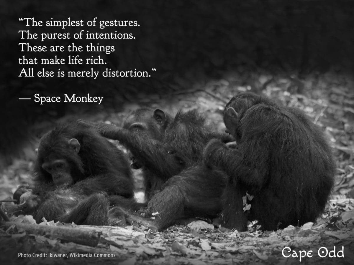 Space Monkey — Simplest Of Gestures Quote