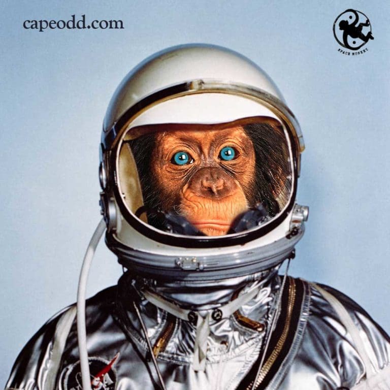Space Monkey Helmet - Cape Odd